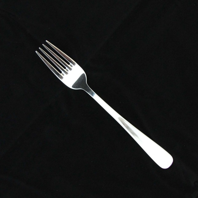 Fork Large (York) | Harrisons HireMaster Wanganui